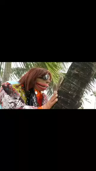 coco_coma. | Discover