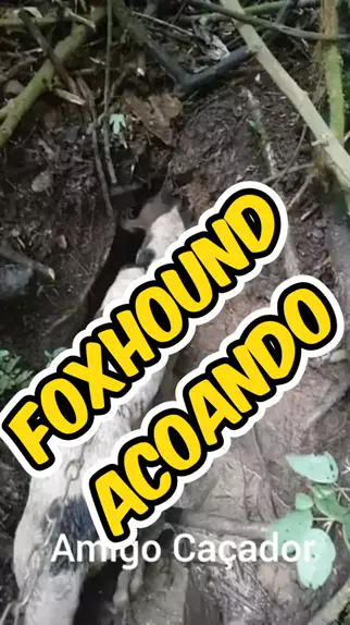 minecraft quark foxhound | Discover