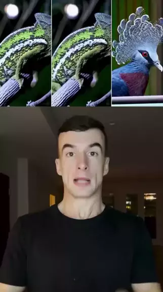 chat .openal.com | Discover